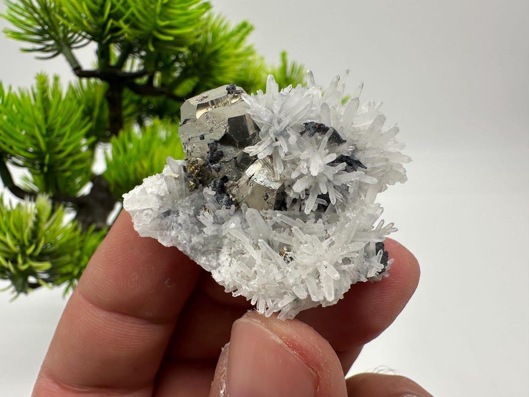Stunning Pyrite on Transparent Quartz Natural Minerals Souvenir Crystal ...