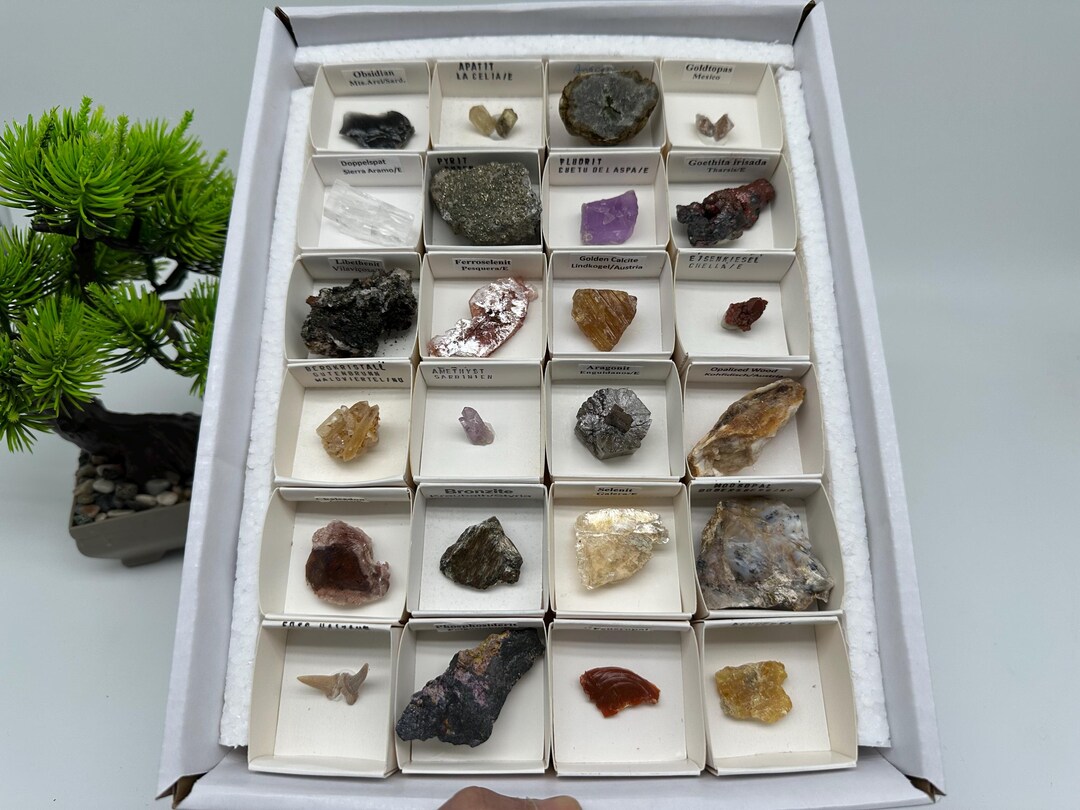 Set of 24 Different International Crystals,minerals,flat Minerals,flat ...