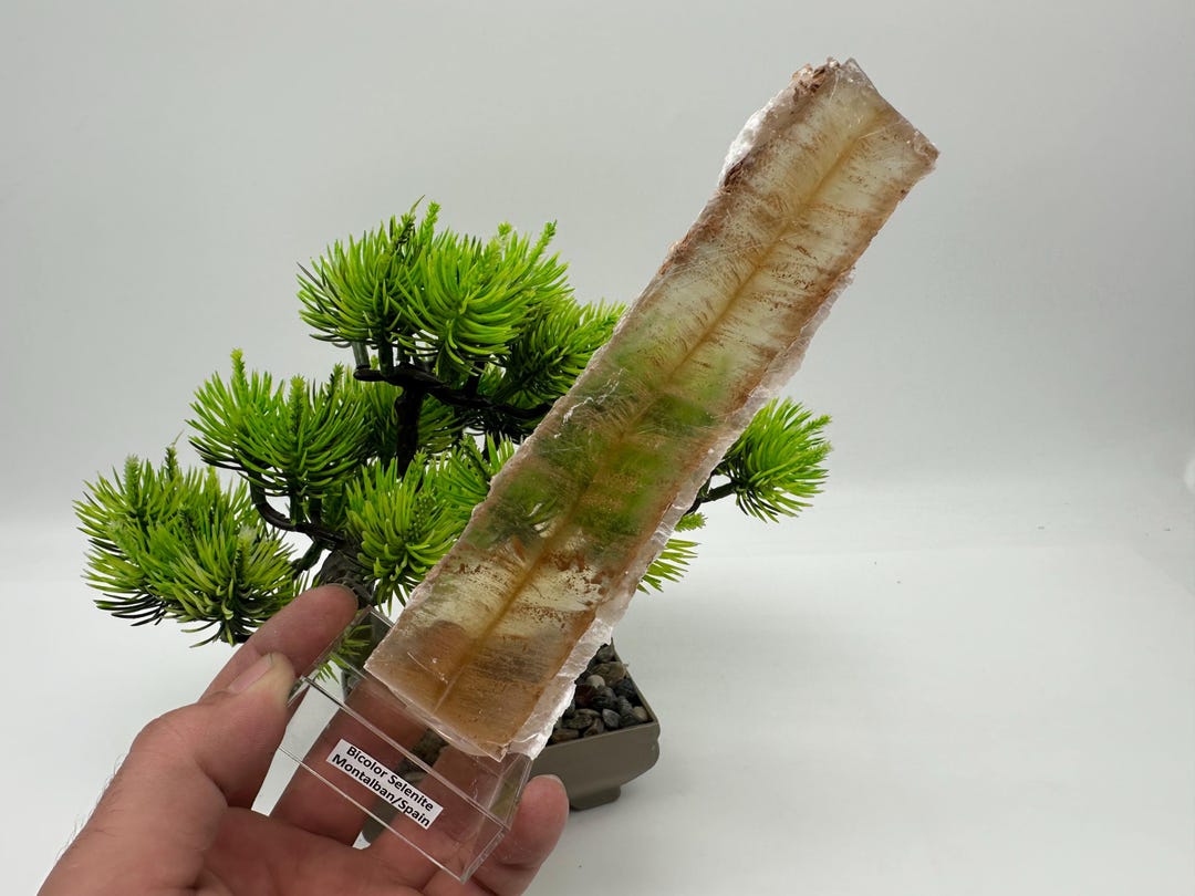 Golden Phantom Selenite Slab: Raw Utah Fishtail Selenite Wand - Etsy