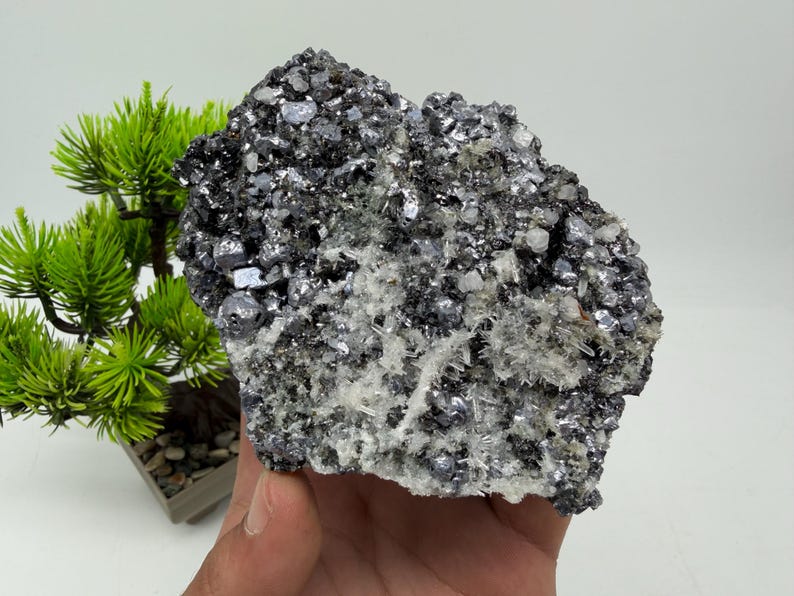 Galena on Green Quartz With Chlorite, Borieva Bulgaria - Etsy UK