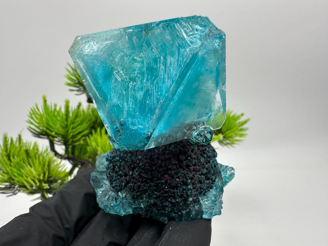 Exceptional Turquoise ALUNITE Aqua Crystal on Matrix UV Active, Lab ...