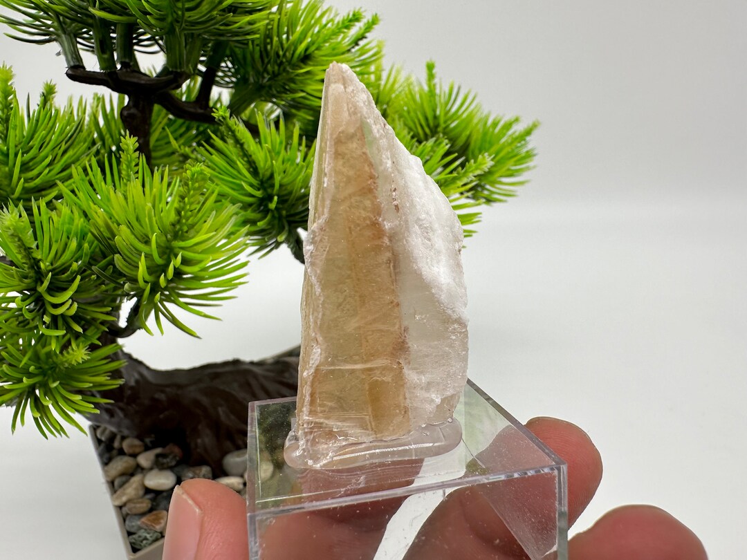 Golden Phantom Selenite Slab: Raw Utah Fishtail Selenite Wand - Etsy