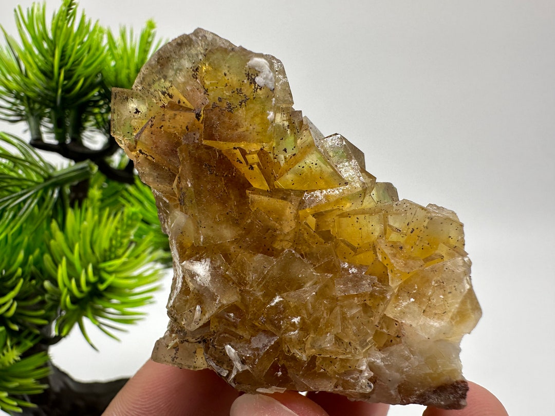 Yellow Fluorite Mineral Specimen From Spain - Etsy
