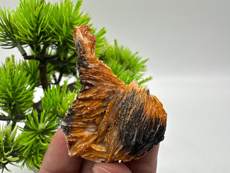 Red Vanadinite on Barite whit Goethite from Morocco,Crystal, Mineral ...