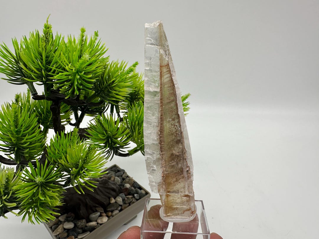 TOP QUALITY! Golden Phantom Selenite Slabs. Fishtail Selenite. Utah Raw ...