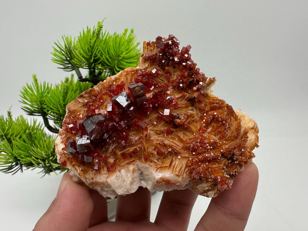 Red Vanadinite on Barite From Morocco,crystal, Mineral,specimen,cluster ...