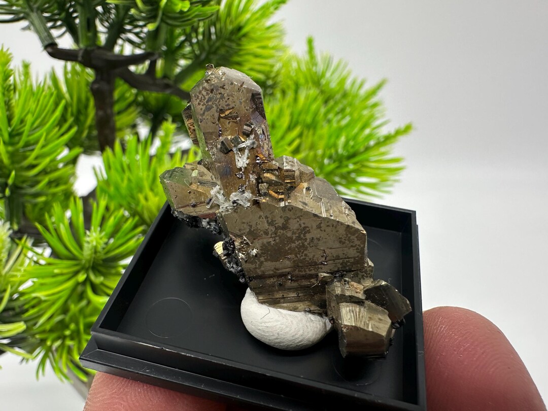 Stunning Rare Rainbow Pyrite Fool’s Gold Floating Pyrite Natural ...