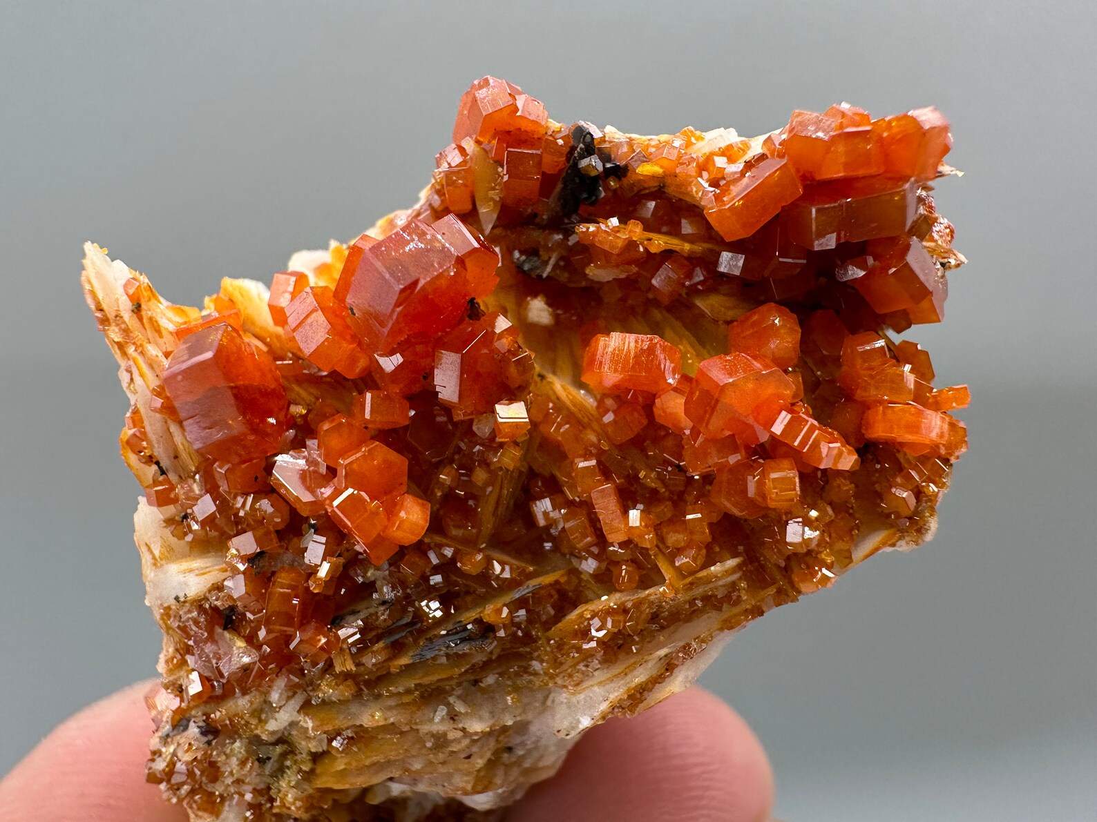 Red Vanadinite Crystal on Barite, Morocco Mineral Specimen - Etsy