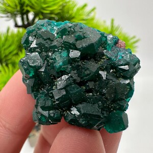 Stunning Green Dioptase From Sanda Hills,mindouli,pool Department ...