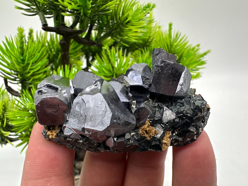 Impresionante ejemplar de esfalerita galena, mina Borieva, Bulgaria ...
