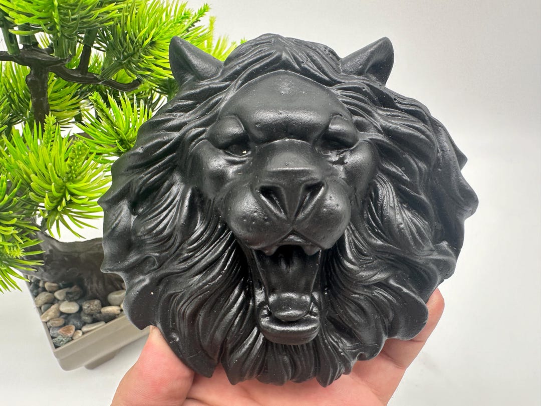 One(1)stunning Lion's Head,leo Shungite,protection,healing Shungite,leo ...