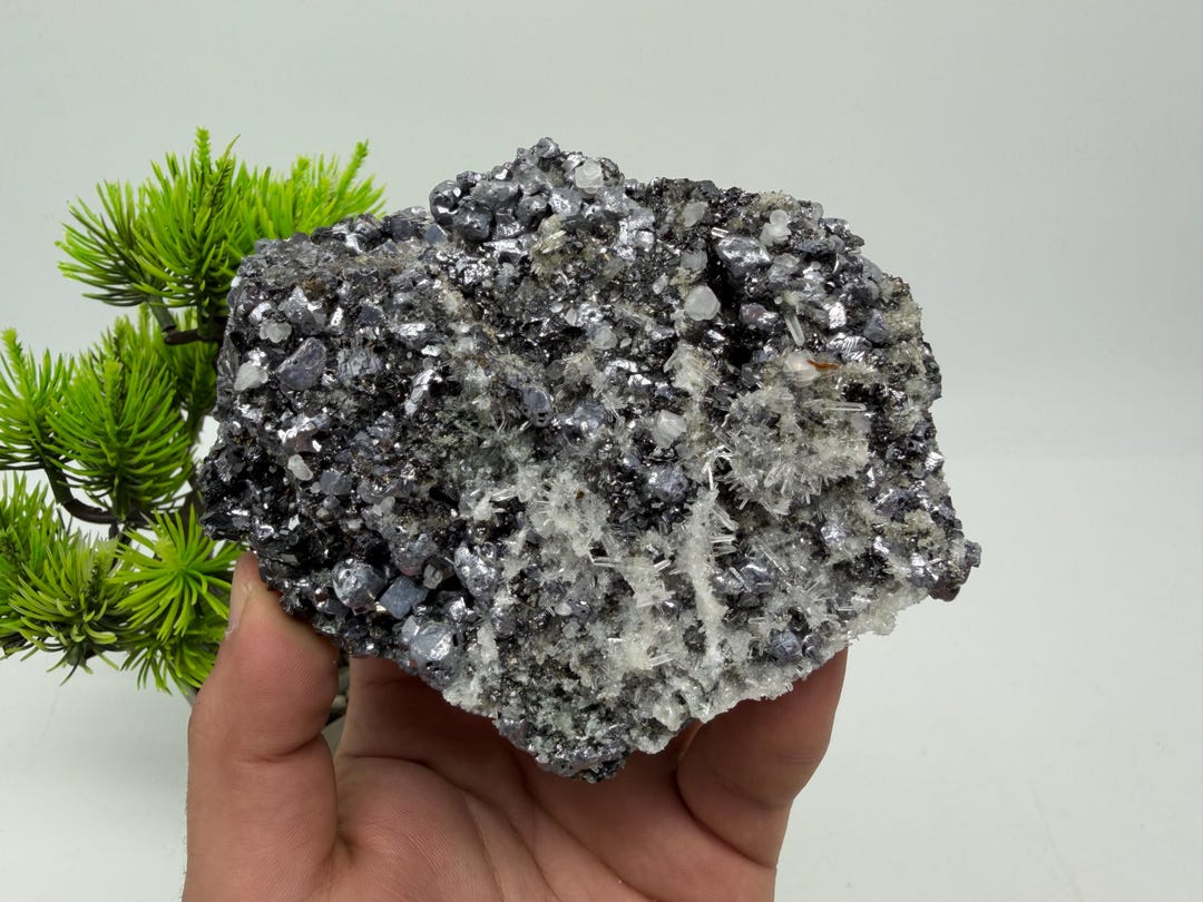 Galena on Green Quartz With Chlorite, Borieva Bulgaria - Etsy UK