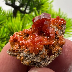 Red Vanadinite on Barite From Morocco,crystal, Mineral,specimen,cluster ...