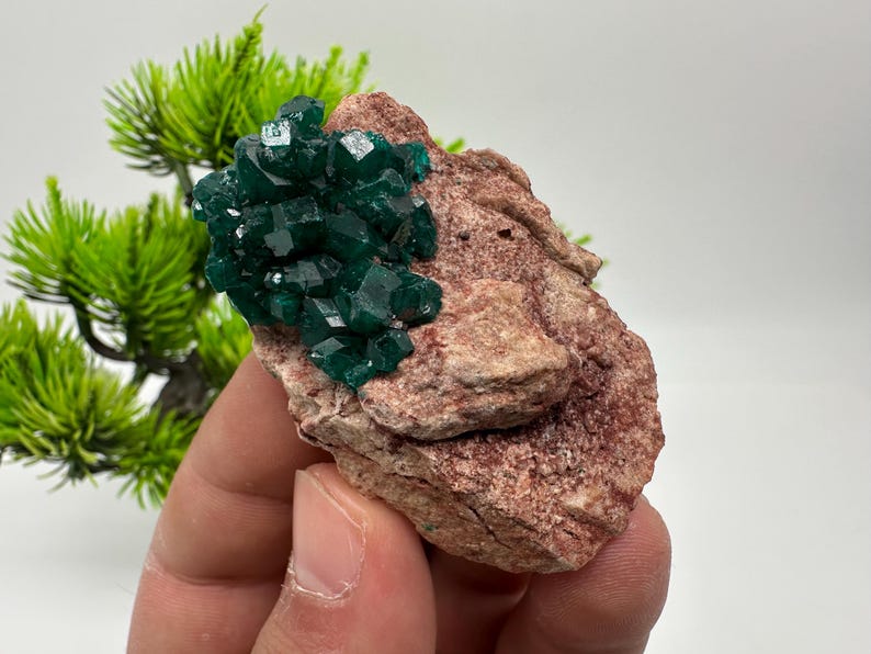 Green Dioptase Crystal Specimen, Congo Mineral Collection - Etsy UK