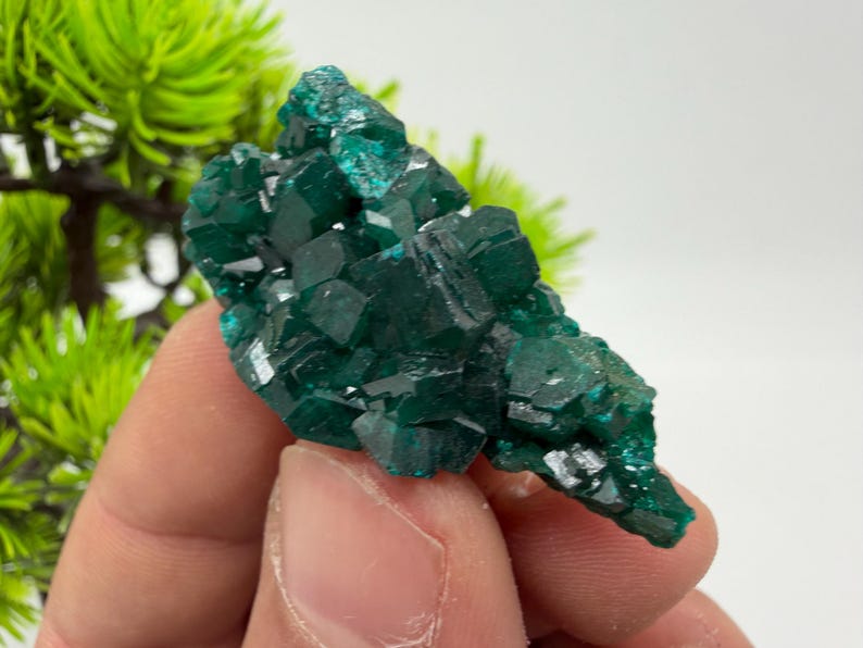 Stunning Green Dioptase From Sanda Hills,mindouli,pool Department ...