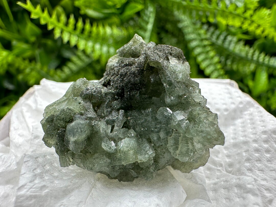 Prehnite Cluster / Bowtie Prehnite / Raw Prehnite / Prehnite With ...