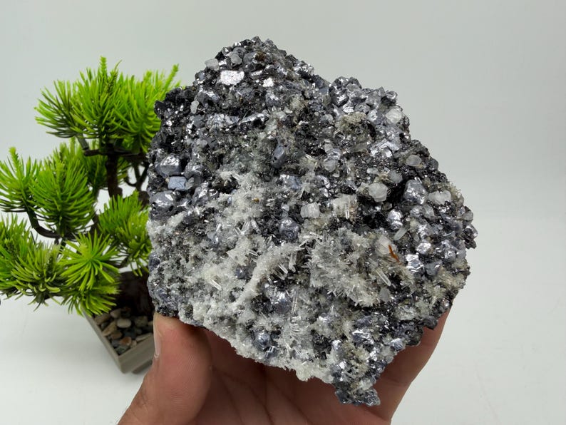 Galena on Green Quartz With Chlorite, Borieva Bulgaria - Etsy UK