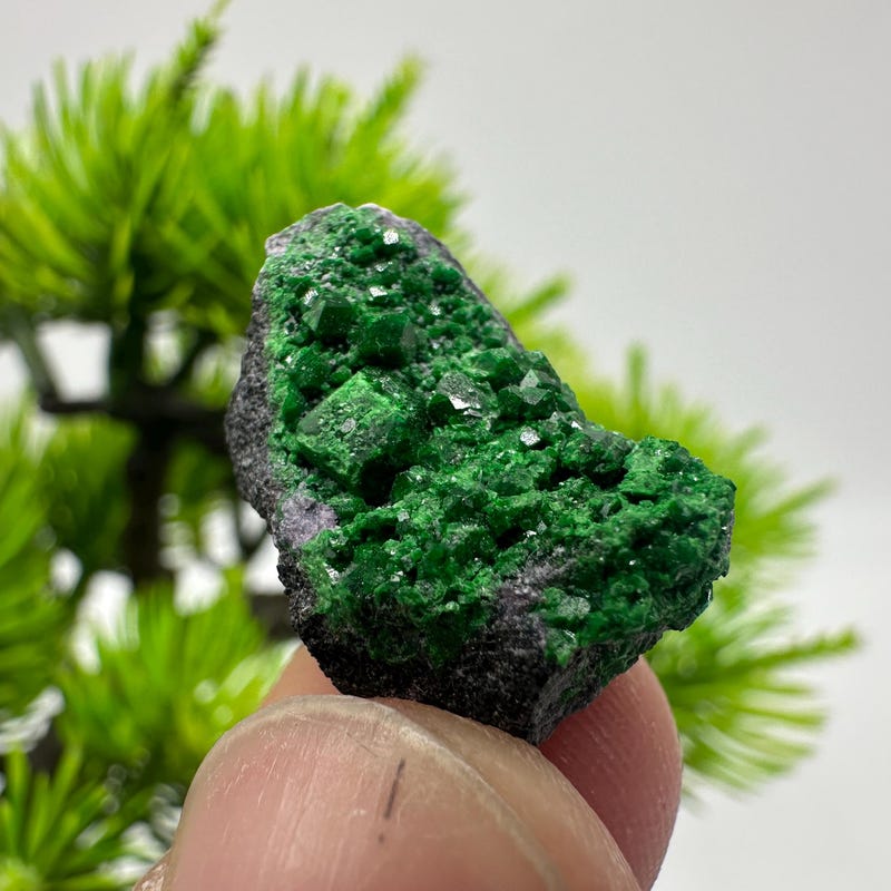 Uvarovite Garnet - Etsy