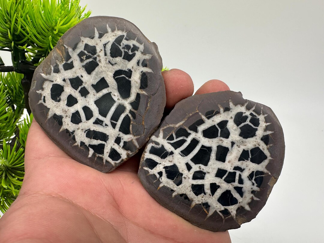 Dragonstones Pair, Septarian Nodule Geode, Septaria, Dragonstone ...