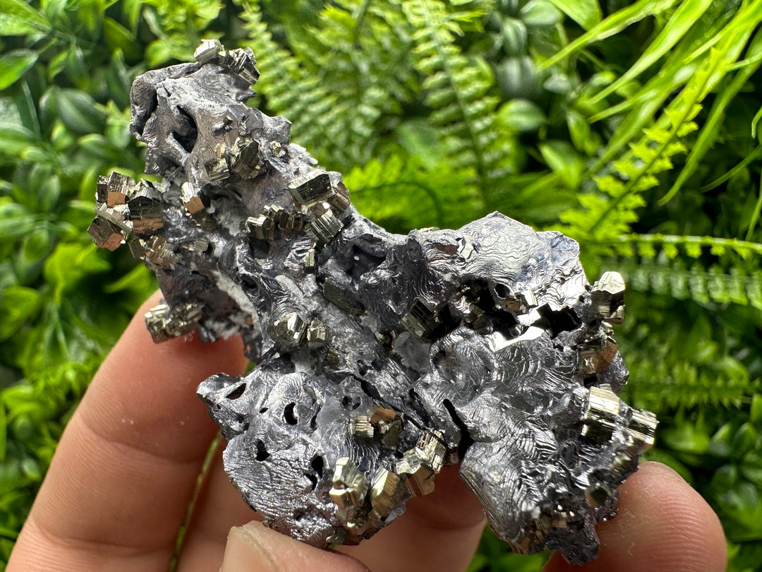 Collection Specimen Rare Melted Galena Whit Pyrite Natural Minerals ...
