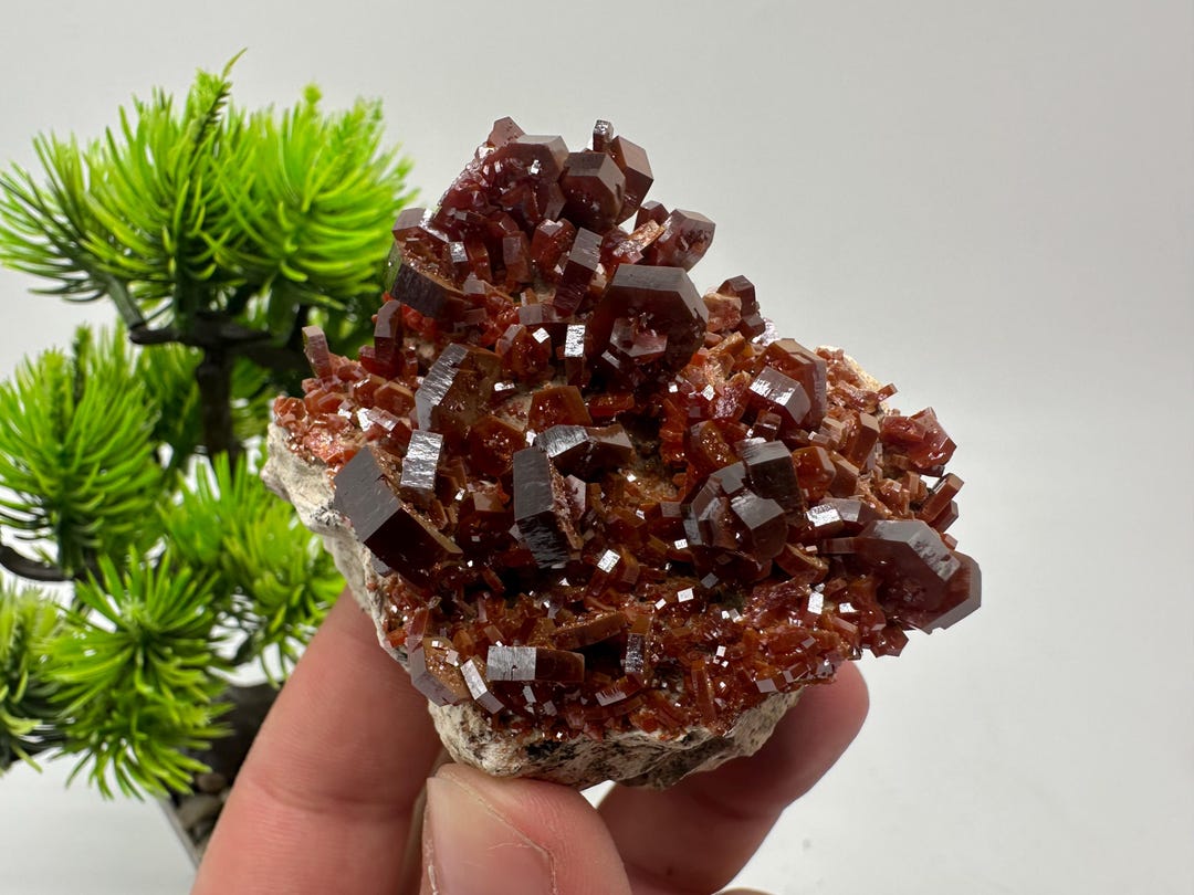 Large Red Vanadinite Crystal Cluster on Matrix, Morocco Mineral ...