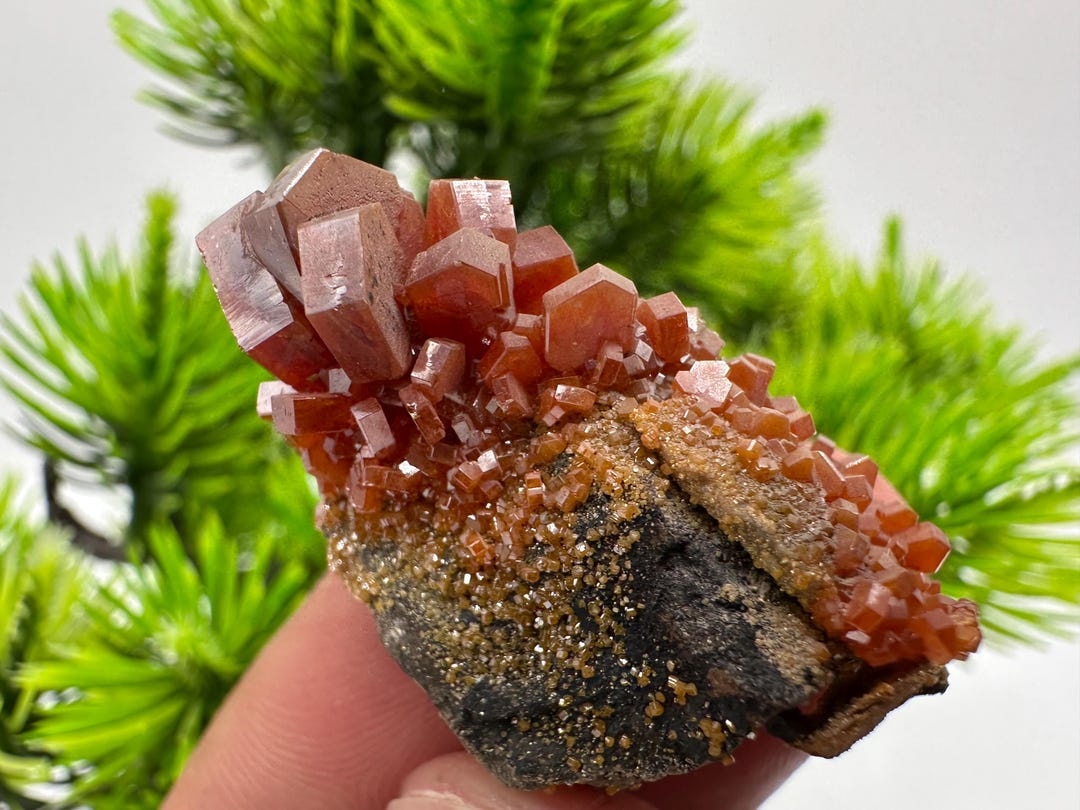 Red Vanadinite on Barite From Morocco,crystal, Mineral,specimen,cluster ...