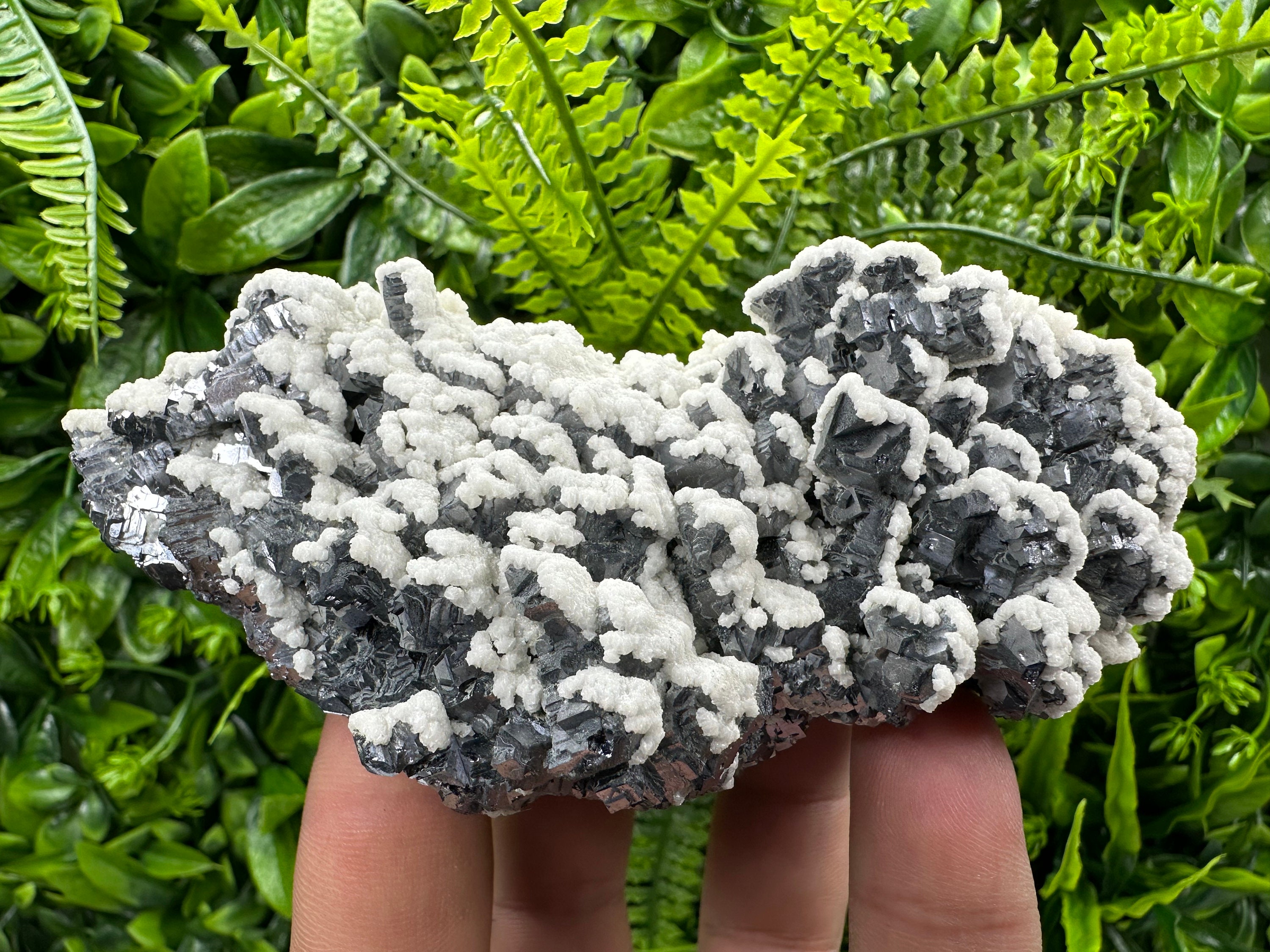 TOP Quality Pieceskeletal Shiny Galena Whit Dolomite - Etsy