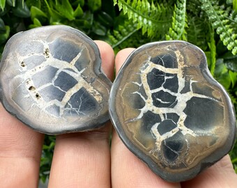 Dragonstones Pair, Septarian Nodule Geode, Septaria, Dragonstone ...