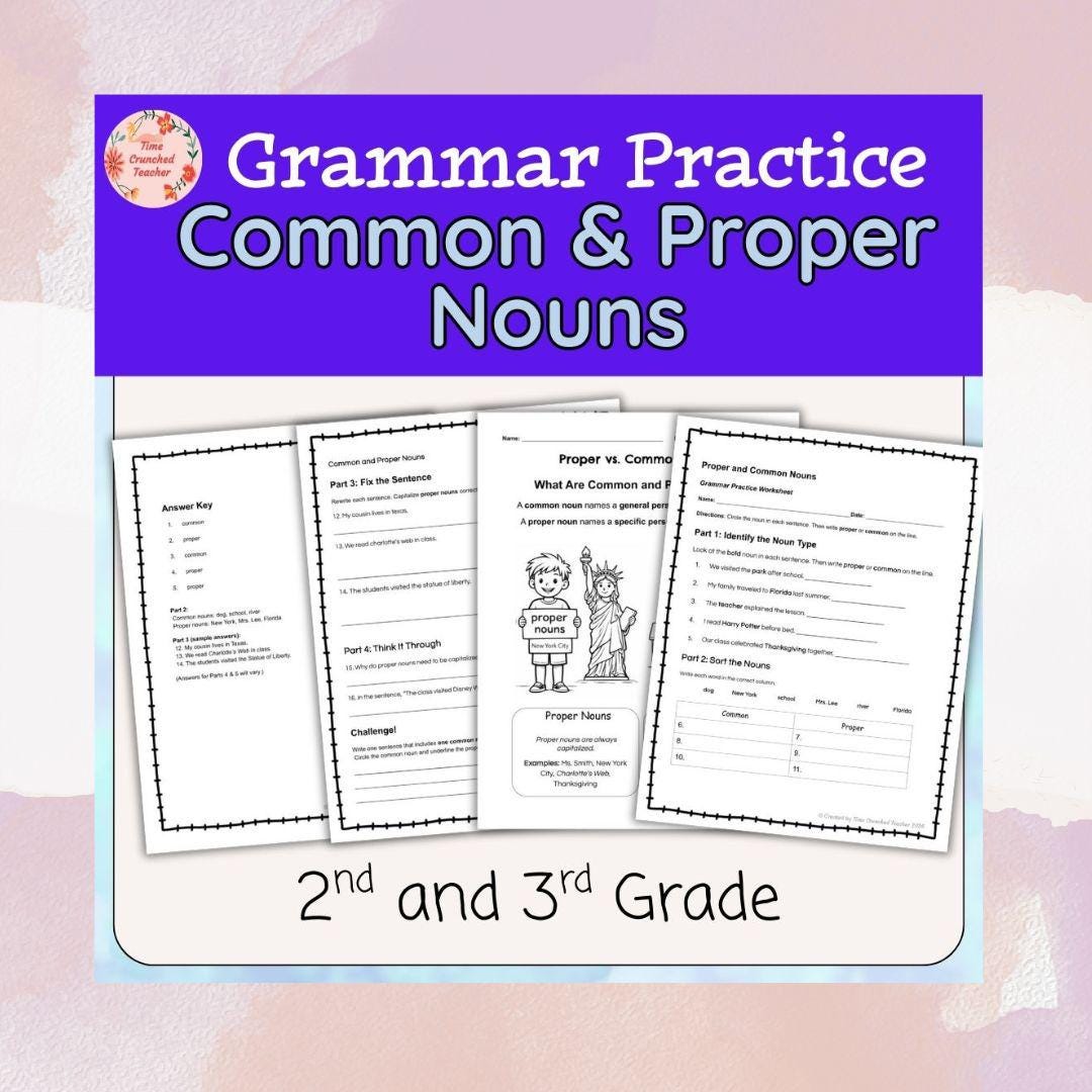 Common and Proper Noun Worksheets for 2nd & 3rd Grade | | Printable ...