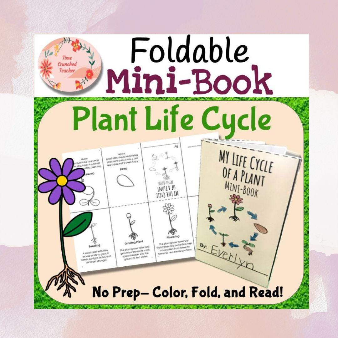 Printable Life Cycle of a Plant Book | Plant Life Cycle for Kids | Kids ...