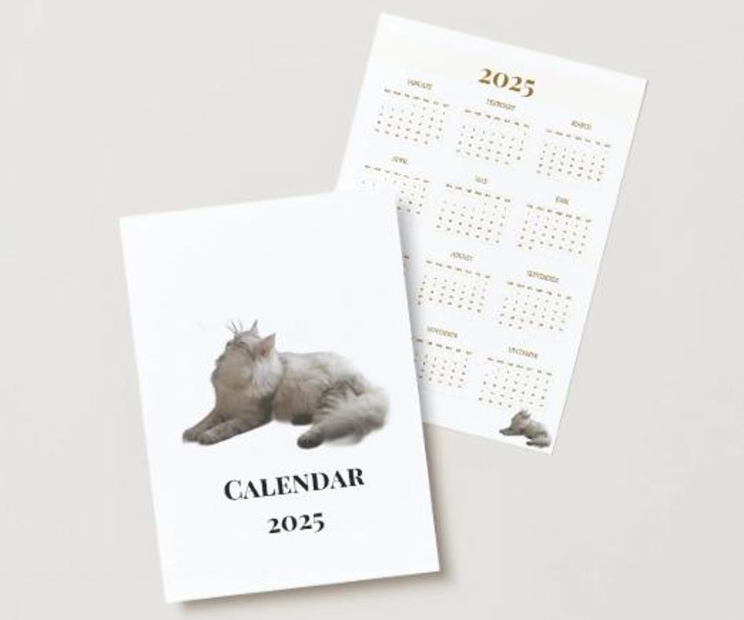 Mini 2025 Calendar Cat, Size Postcard/bussiness Card - Etsy