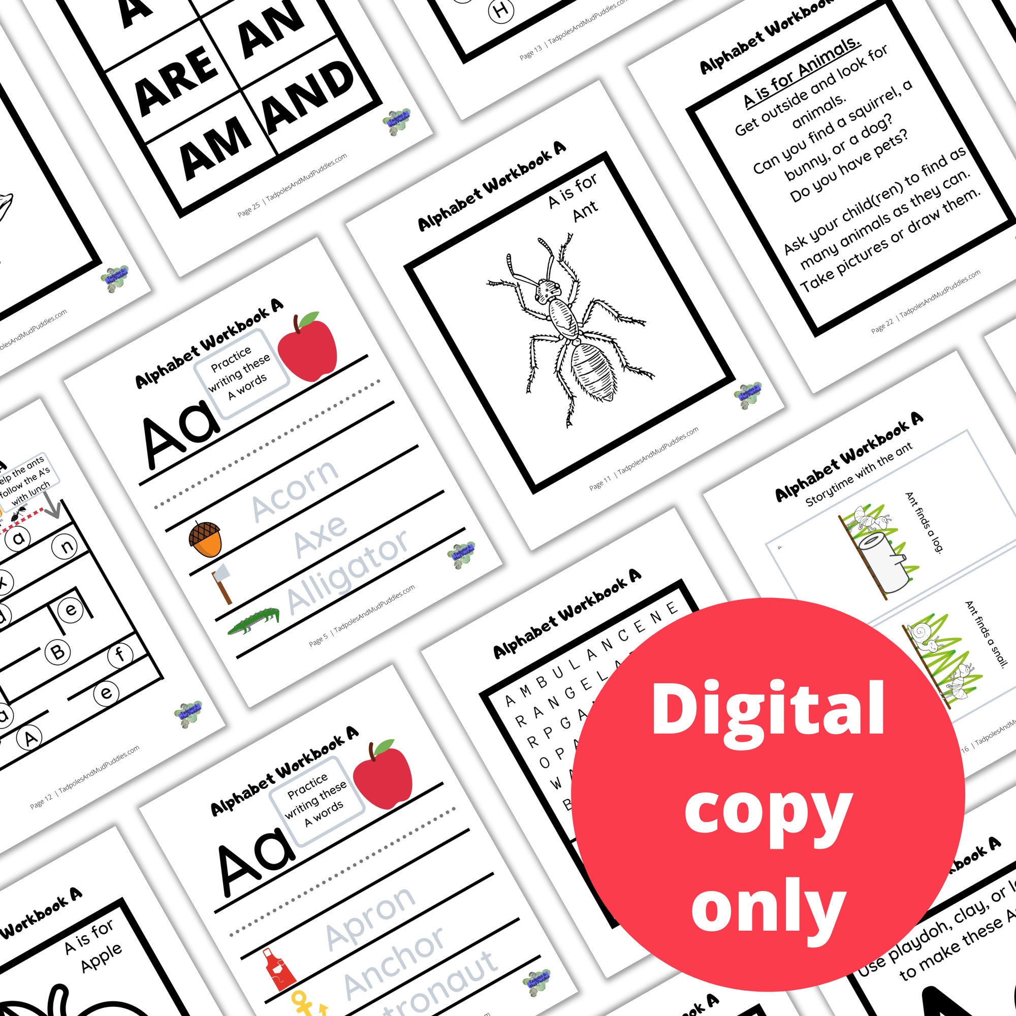 Alphabet Workbook A - Etsy