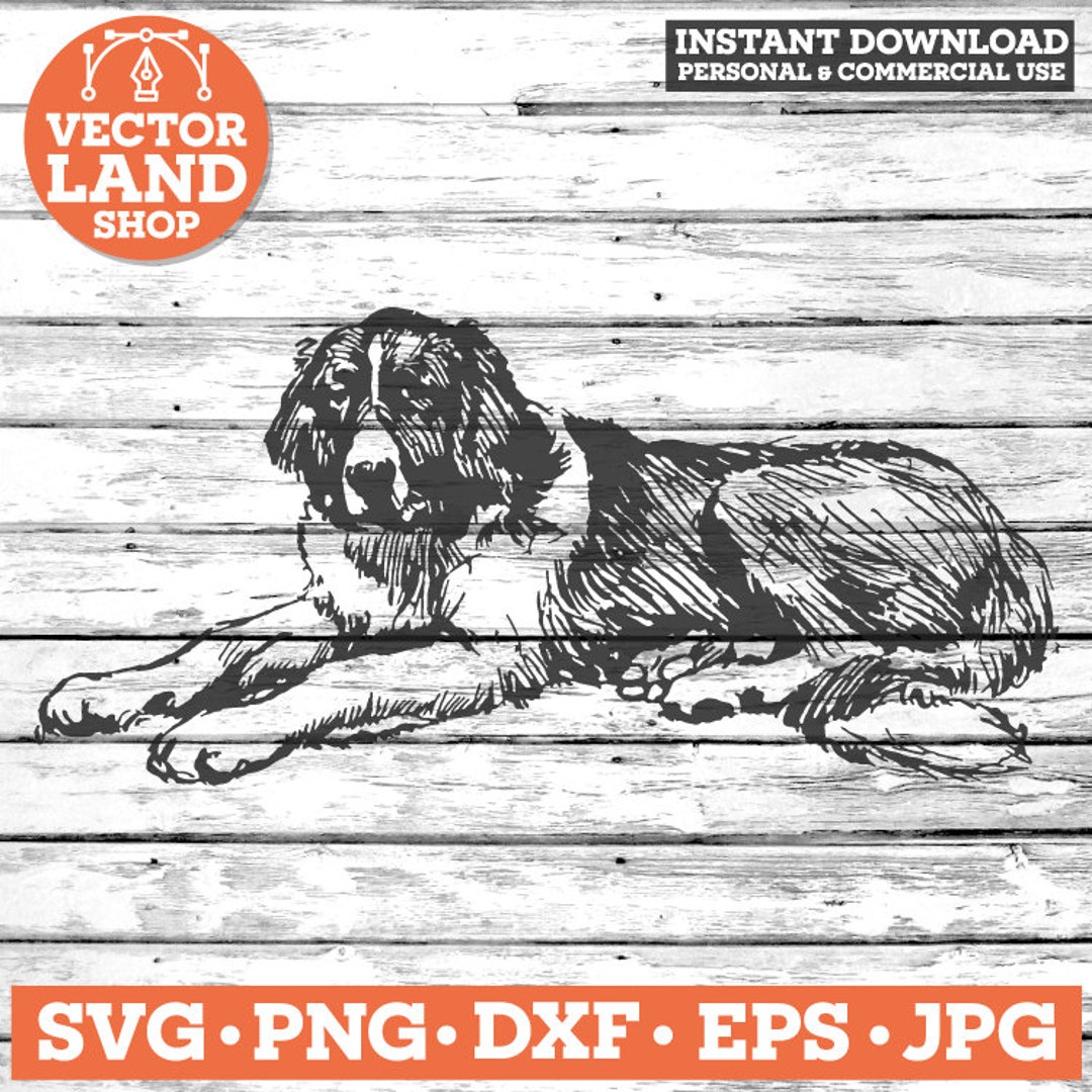 St Bernard Svg, Dogs Svg, Saint Bernard, Bernard Svg, St Bernard Png ...