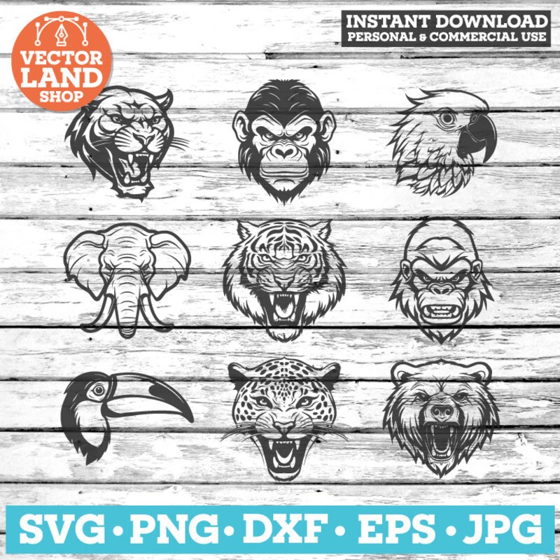 Jungle Animals Svg - Etsy