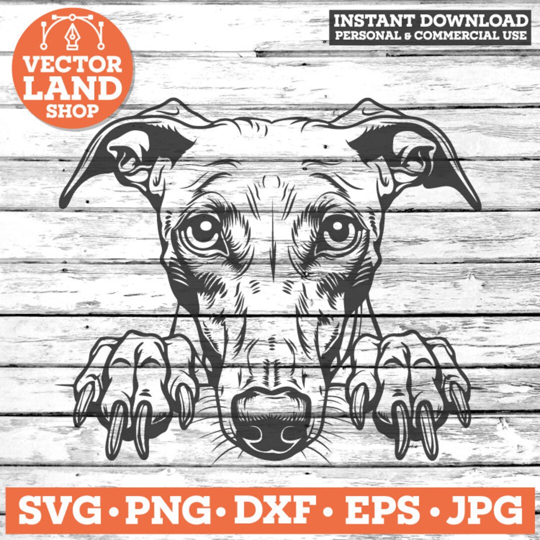 Greyhound Svg, Dogs Svg, Whippet Svg, Greyhound Vector, Greyhound Png ...