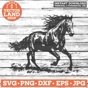 BUNDLE Horse Svg, Western Svg, Horse Head, Horses Svg, Horse Clipart ...