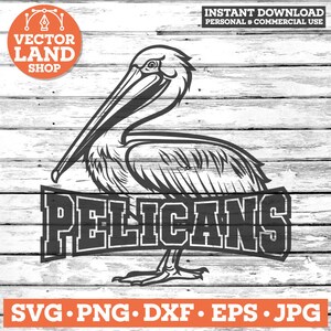 Pelicans Svg, Pelican Svg, Pelican Png, Team Logo, Pelican Clipart ...