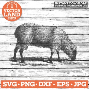 Sheep Svg, Farm Svg, Cottage Svg, Farm Scene Svg, Animal Printable ...