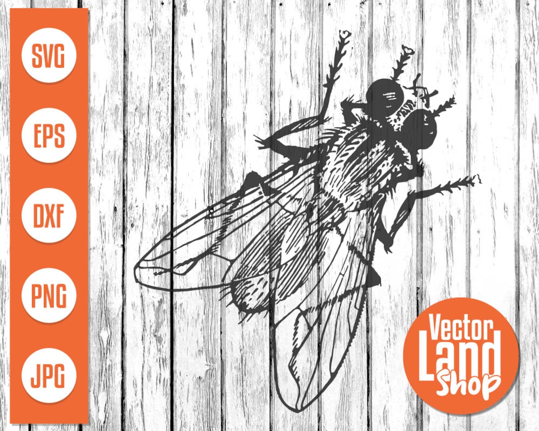 Fly Svg Insect Svg Fly Png Vintage Animals Fly - Etsy