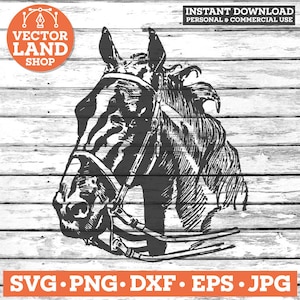 BUNDLE Horse Svg, Western Svg, Horse Head, Horses Svg, Horse Clipart ...