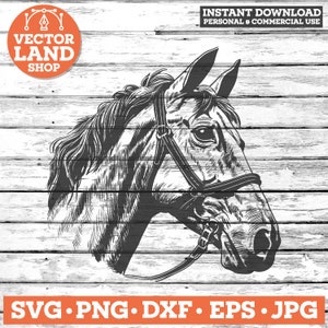 BUNDLE Horse Svg, Western Svg, Horse Head, Horses Svg, Horse Clipart ...