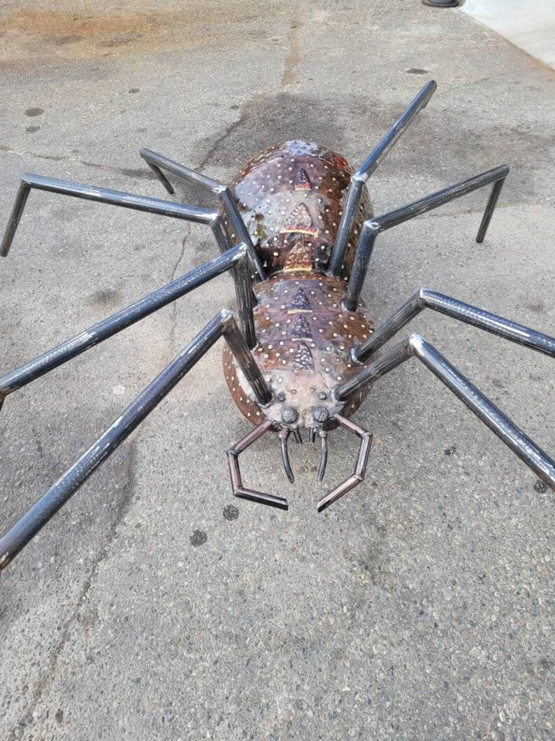 Huge Spider - Etsy
