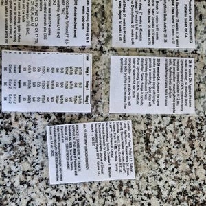 Neonatal EEG Cheat Sheet - Etsy Ireland