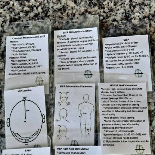 Routine EEG Cheat Sheet - Etsy