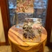 Pair of Decoupaged Glass Block Table Lamps, Bedside Lamps, Nightlights ...