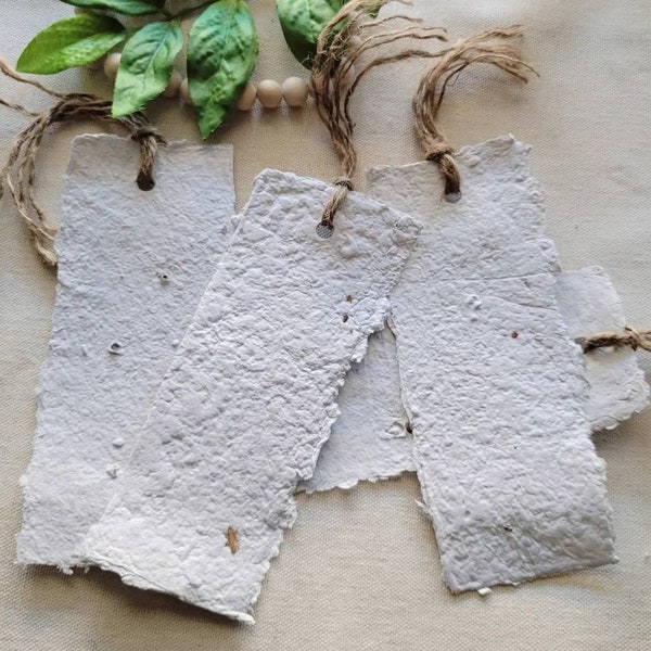 Plantable Paper - Etsy