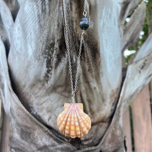 Maui Shell Jewelry - Etsy