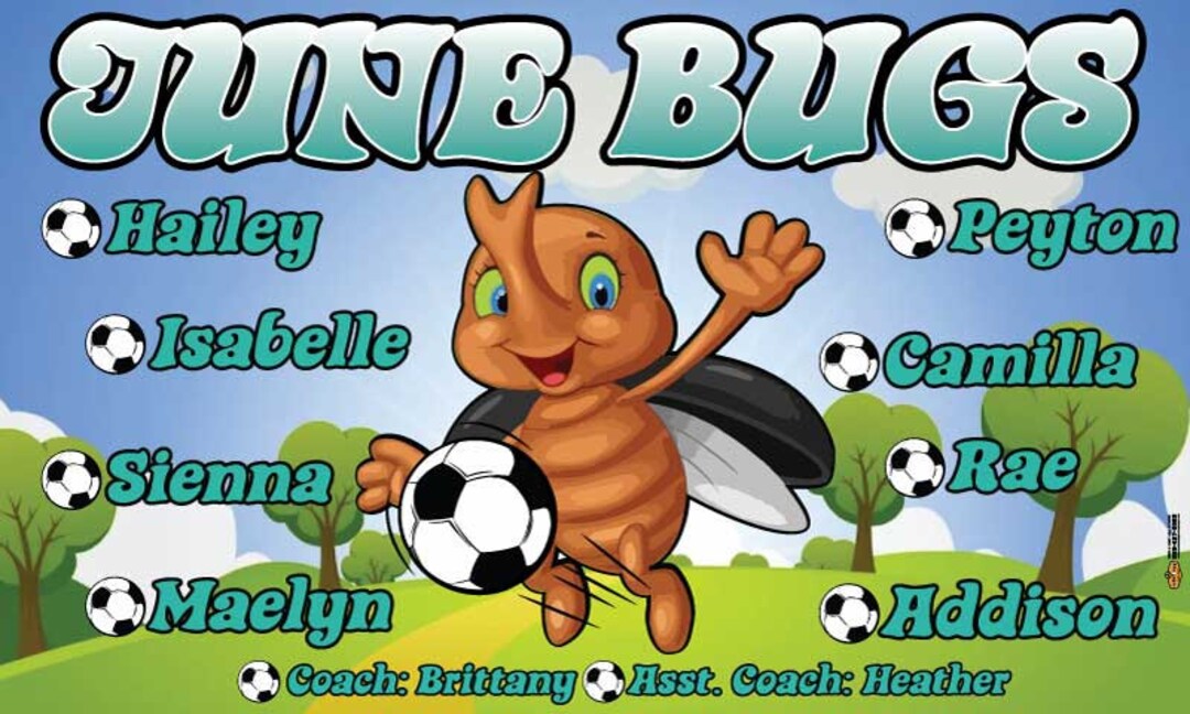 JUNE BUGS Soccer Team Banner - Customize With Your Players and Coach ...