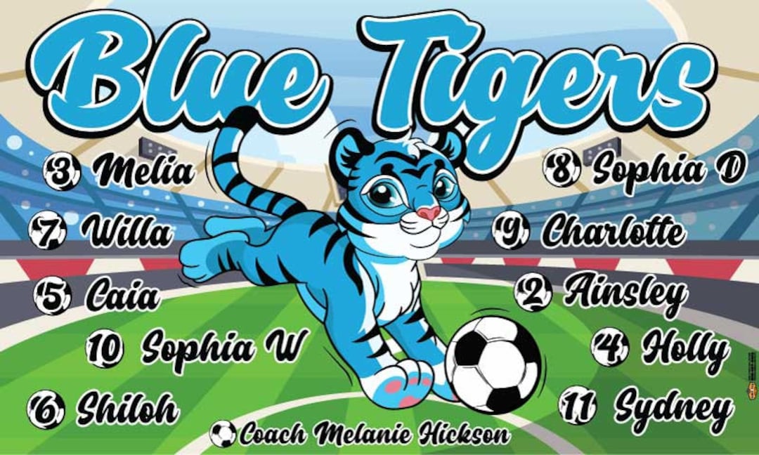BLUE TIGERS 3 Soccer Team Banner - Customize With Your Players and ...