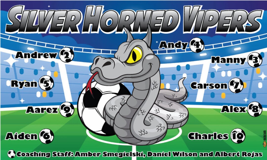 SILVER HORNED VIPERS Soccer Team Banner - Customize With Your Players ...